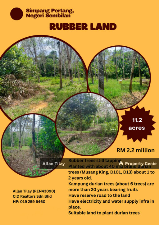 Simpang Pertang Agricultural Land For Sale at RM 2,200,000.00 By Allan ...