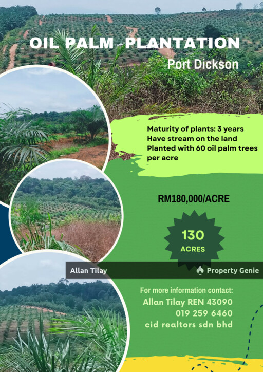 Port Dickson Freehold Oil Palm Plantation For Sale at RM 23,220,000.00 ...