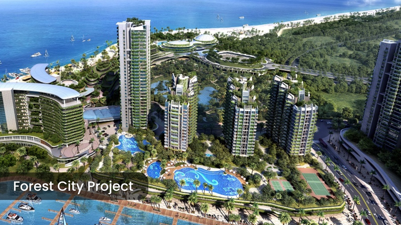 Unlocking Growth Potential: Forest City's Journey as a Special ...